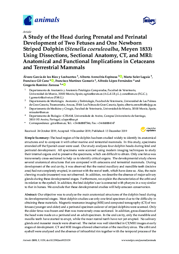 (PDF) A Study of the Head during Prenatal and Perinatal Development of ...