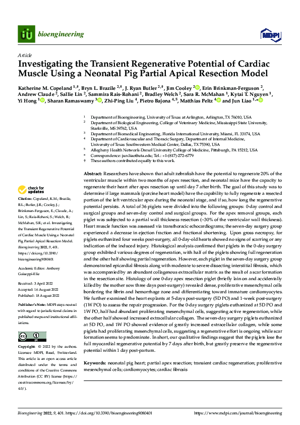 (PDF) Investigating the Transient Regenerative Potential of Cardiac ...