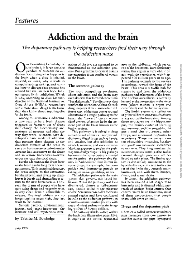 (PDF) Addiction and the brain