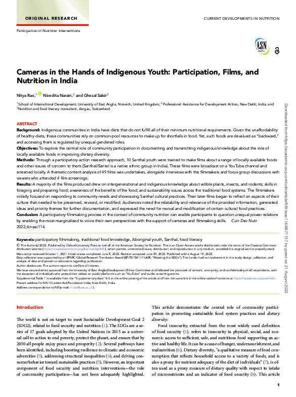 (PDF) Cameras in the Hands of Indigenous Youth: Participation, Films ...