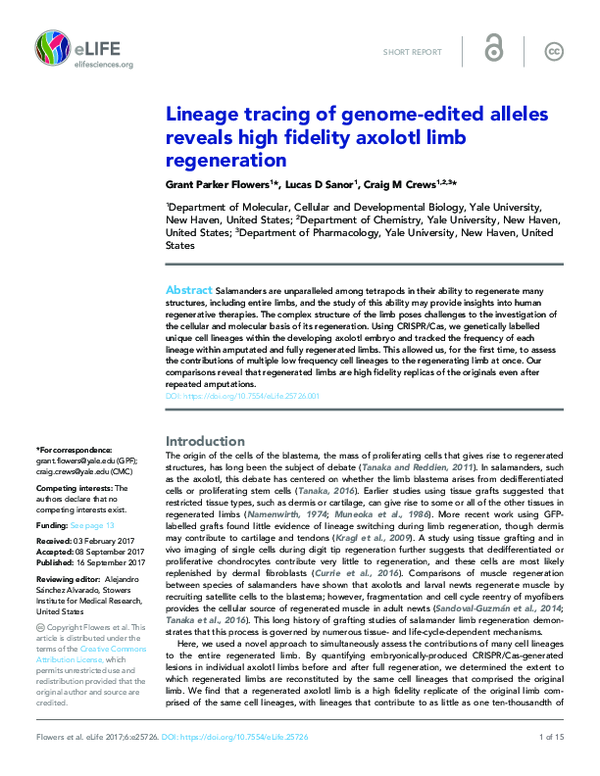 (PDF) Lineage tracing of genome-edited alleles reveals high fidelity axolotl limb regeneration