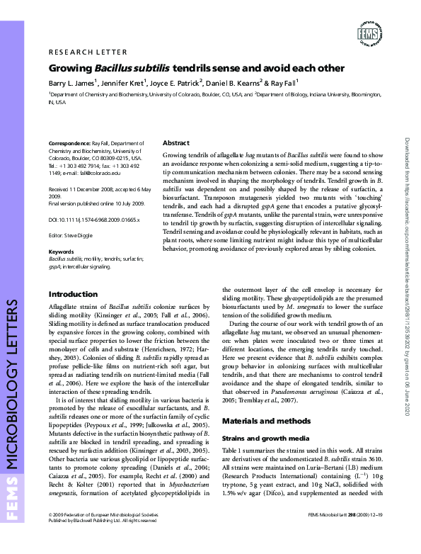 (PDF) Growing Bacillus subtilis tendrils sense and avoid each other