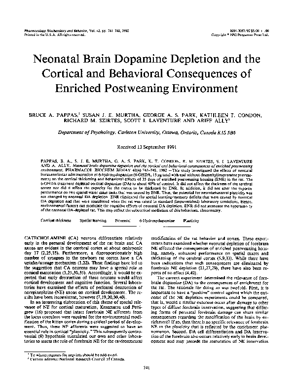 (PDF) Neonatal brain dopamine depletion and the cortical and behavioral ...