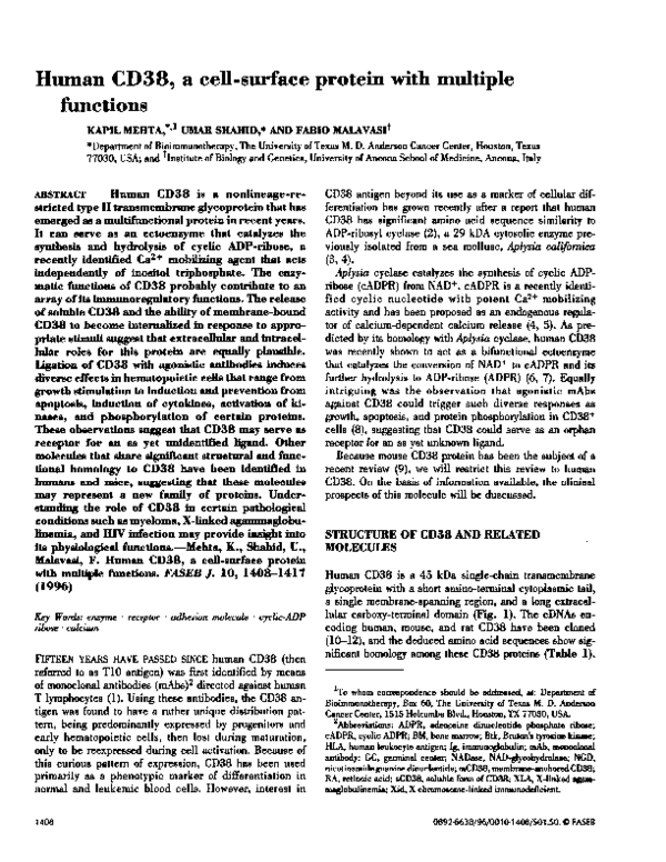 (PDF) Human CD38, a cell‐surface protein with multiple functions | Umar ...
