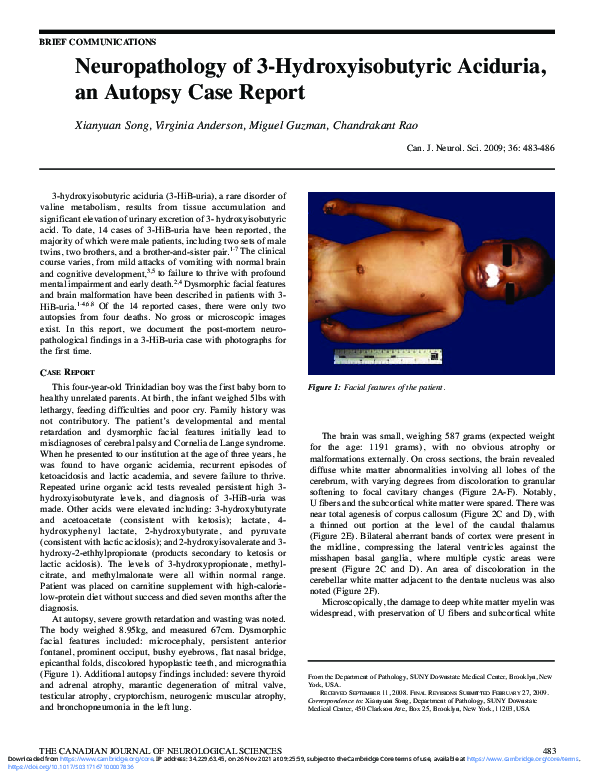 (PDF) Neuropathology of 3-Hydroxyisobutyric Aciduria, an Autopsy Case ...