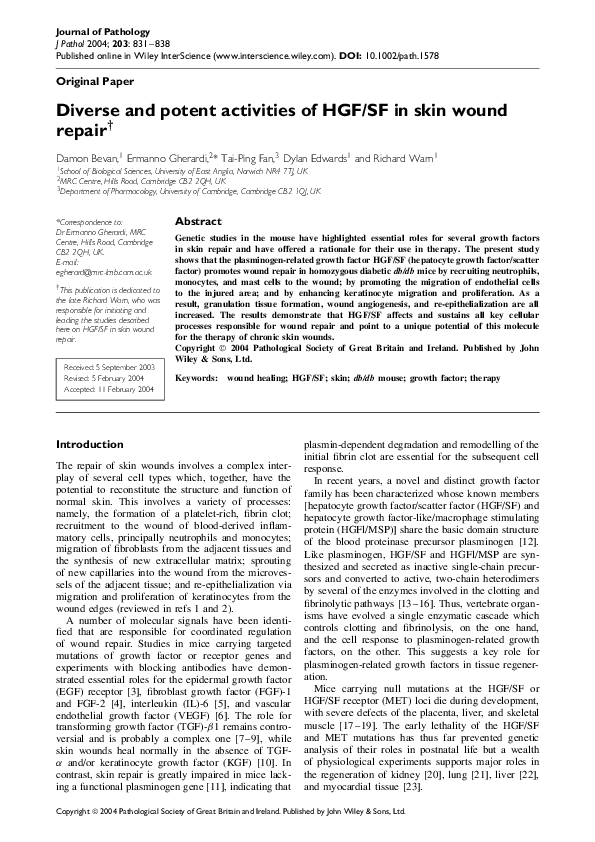(PDF) Diverse and potent activities of HGF/SF in skin wound repair