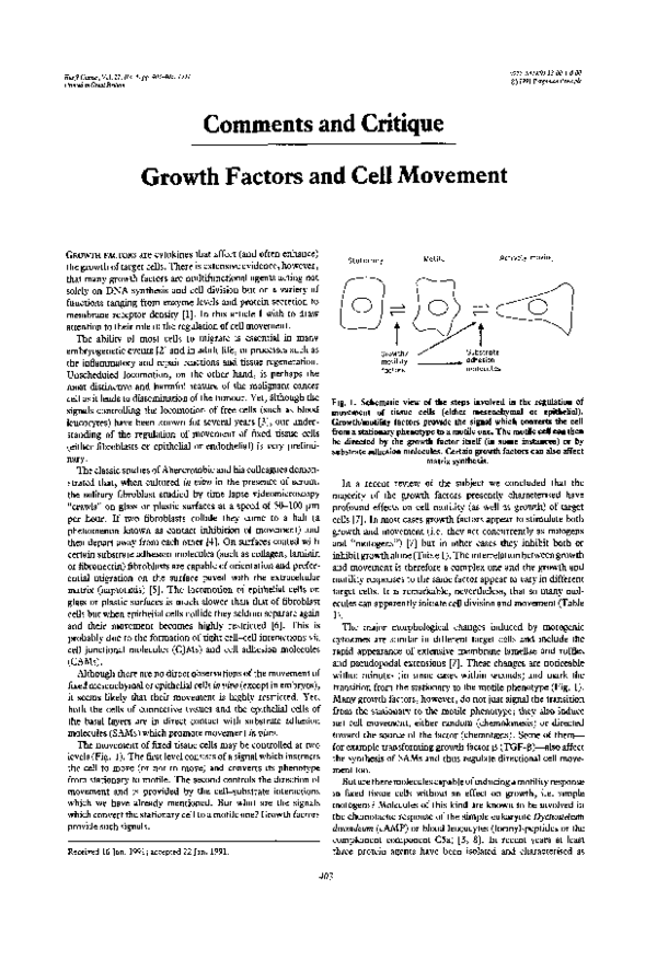 (PDF) Growth factors and cell movement