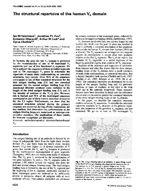 (PDF) The structural repertoire of the human V kappa domain