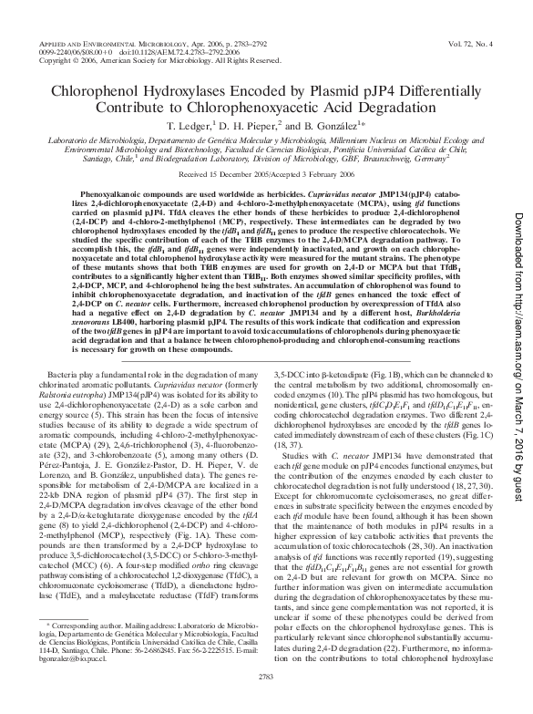 (PDF) Chlorophenol Hydroxylases Encoded by Plasmid pJP4 Differentially ...
