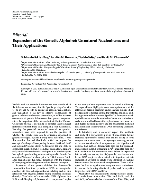 (PDF) Expansion of the genetic alphabet: unnatural nucleobases and ...
