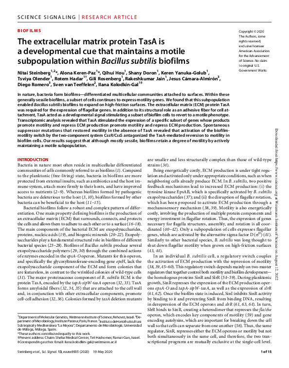 (PDF) The extracellular matrix protein TasA is a developmental cue that ...