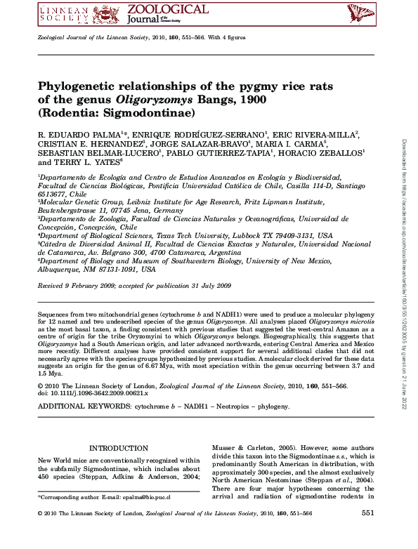 (PDF) Phylogenetic relationships of the pygmy rice rats of the genus ...