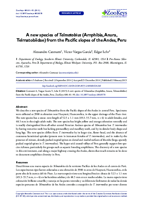 (PDF) Telmatobiidae) from the Pacific slopes of the Andes, Peru