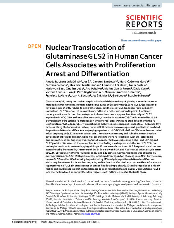 (PDF) Nuclear Translocation of Glutaminase GLS2 in Human Cancer Cells ...