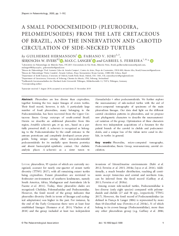(PDF) A small podocnemidoid (Pleurodira, Pelomedusoides) from the Late ...