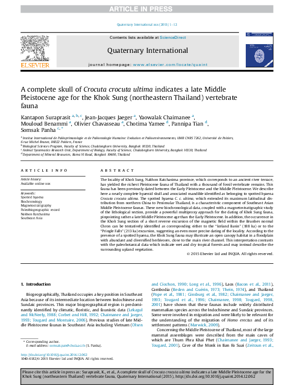 (PDF) A complete skull of Crocuta crocuta ultima indicates a late ...