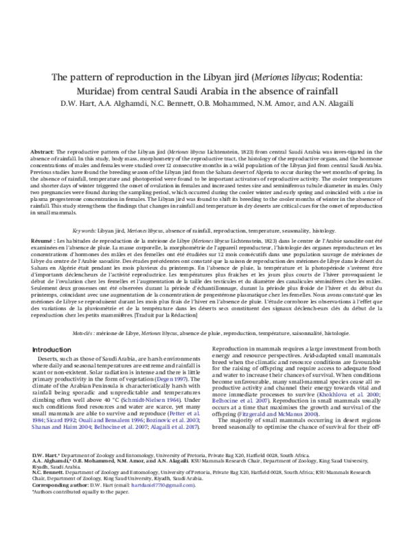 (PDF) The pattern of reproduction in the Libyan jird (Meriones libycus ...
