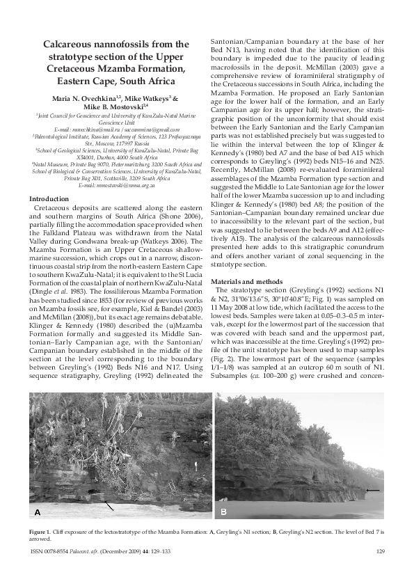 (PDF) Calcareous nannofossils from the stratotype section of the Mzamba ...