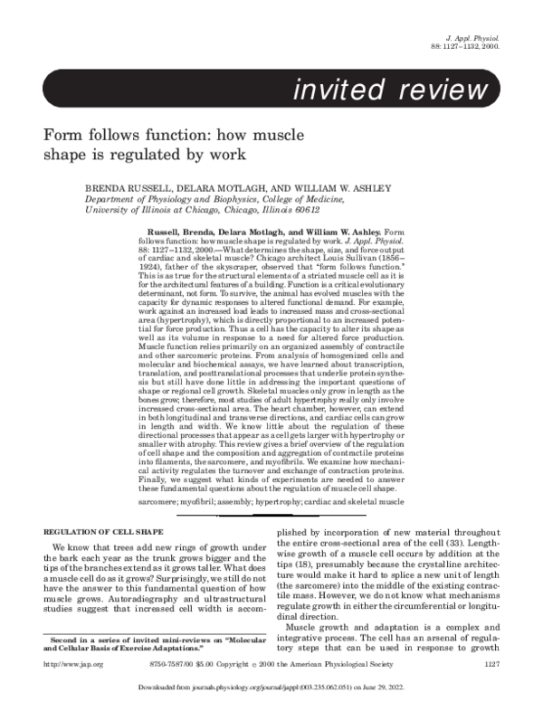 (PDF) Form follows function: how muscle shape is regulated by work