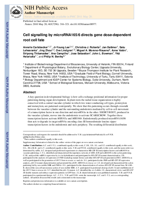 (PDF) Cell signalling by microRNA165/6 directs gene dose-dependent root ...