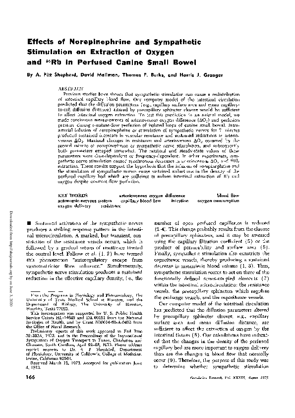 (PDF) Effects of Norepinephrine and Sympathetic Stimulation on ...