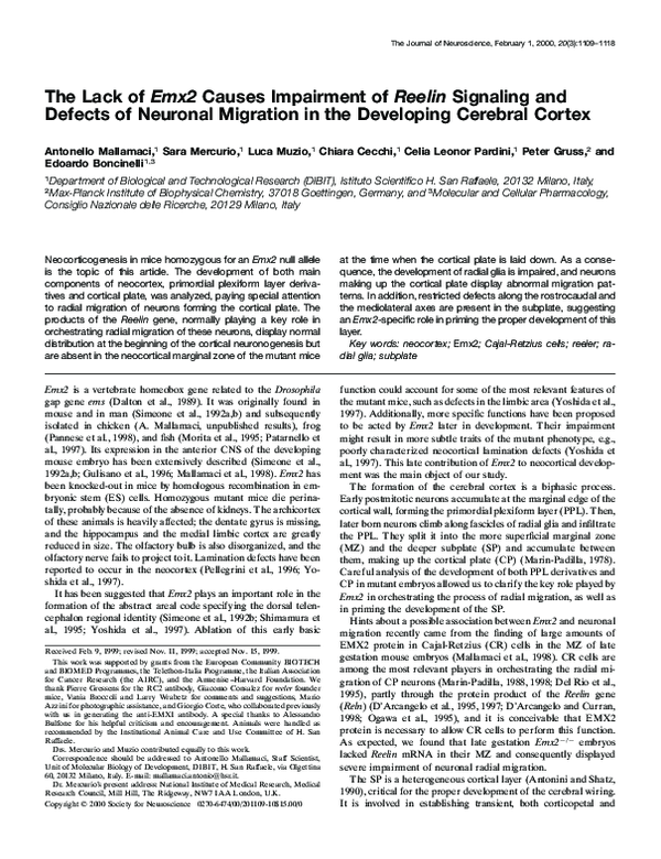 (PDF) The Lack of Emx2 Causes Impairment ofReelin Signaling and Defects ...