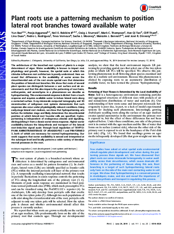 (PDF) Plant roots use a patterning mechanism to position lateral root ...
