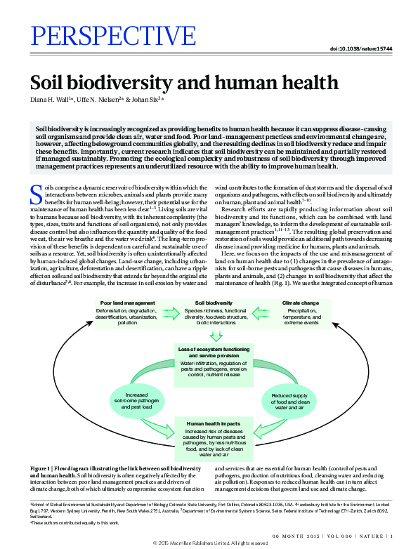 (PDF) Soil biodiversity and human health
