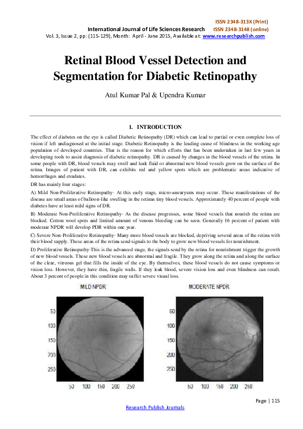 (PDF) Retinal Blood Vessel Detection and Segmentation for Diabetic Retinopathy