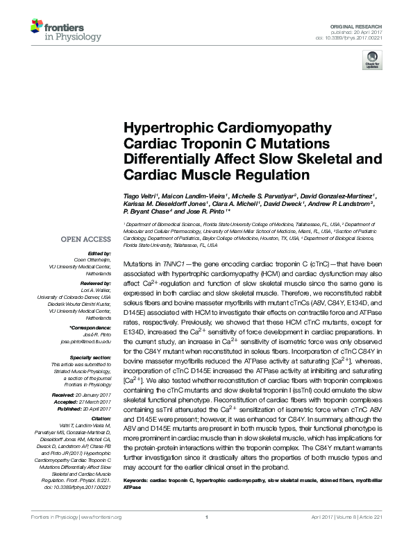 (PDF) Hypertrophic Cardiomyopathy Cardiac Troponin C Mutations ...