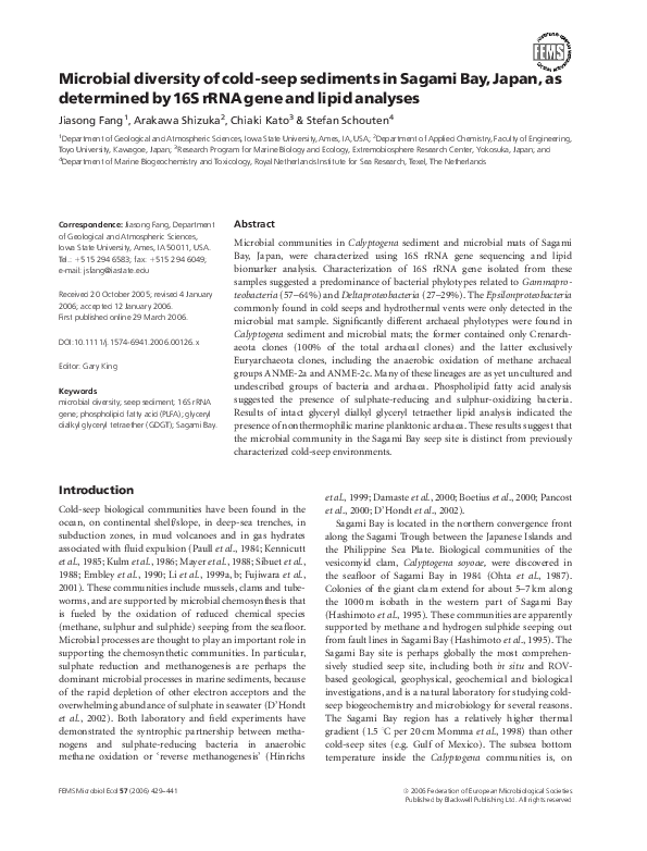 (PDF) Microbial diversity of cold-seep sediments in Sagami Bay, Japan, as determined by 16S rRNA ...