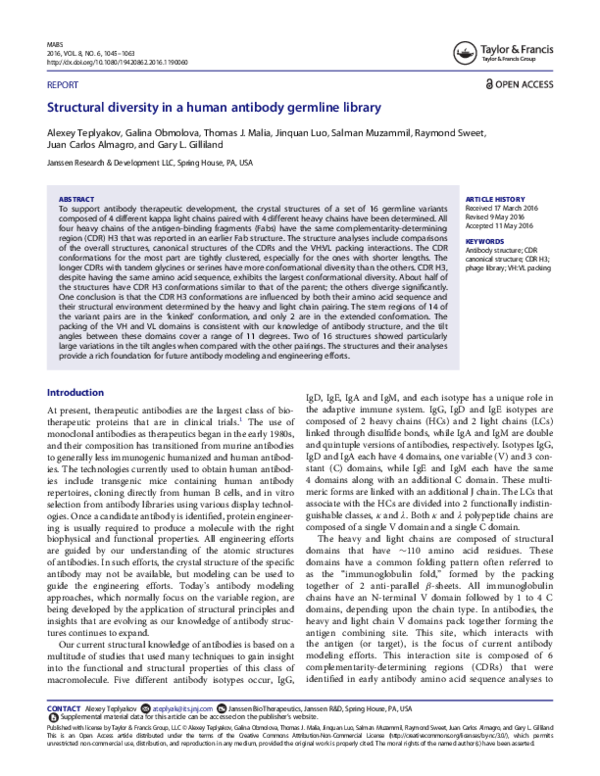(PDF) Structural diversity in a human antibody germline library