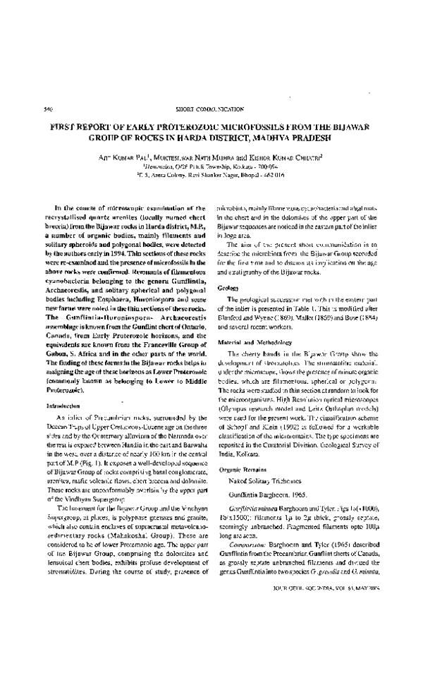 (PDF) First Report of Early Proterozoic Microfossils from the Bijawar ...