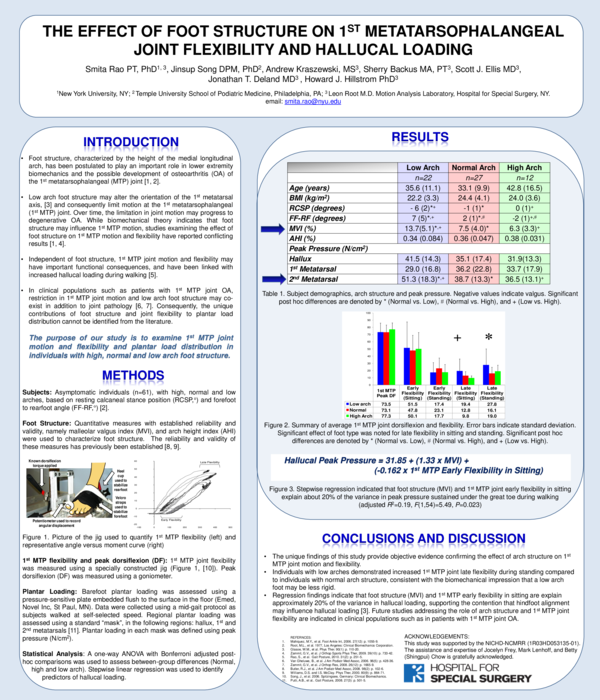 (PDF) The effect of foot structure on 1st metatarsophalangeal joint ...