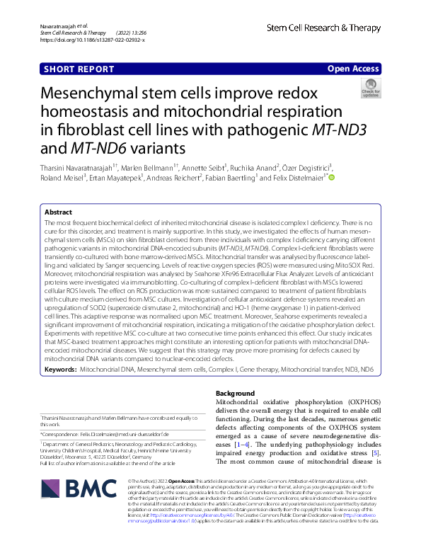 (PDF) Mesenchymal stem cells improve redox homeostasis and mitochondrial respiration in ...