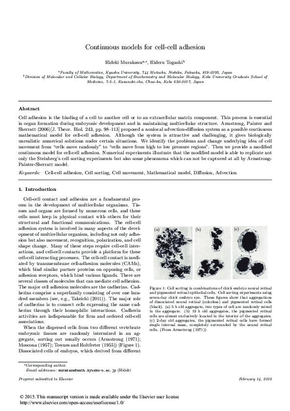 (PDF) Continuous models for cell-cell adhesion | Hideru Togashi - Academia.edu