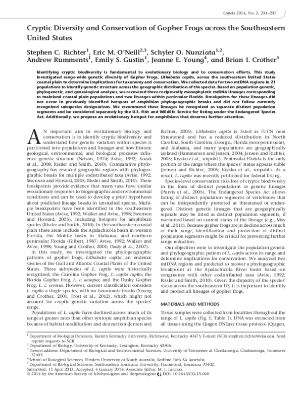 (PDF) Cryptic Diversity and Conservation of Gopher Frogs across the ...