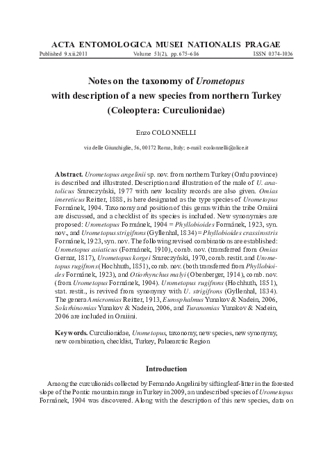 (PDF) Notes on the taxonomy of Urometopus with description of a new ...