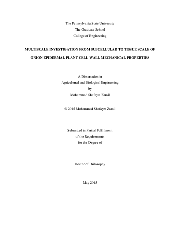 (PDF) Multiscale investigation from subcellular to tissue scale of ...