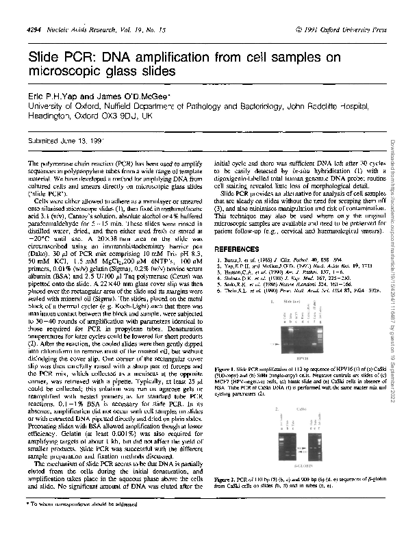 (PDF) Slide PCR: DNA amplification from cell samples on microscopic ...