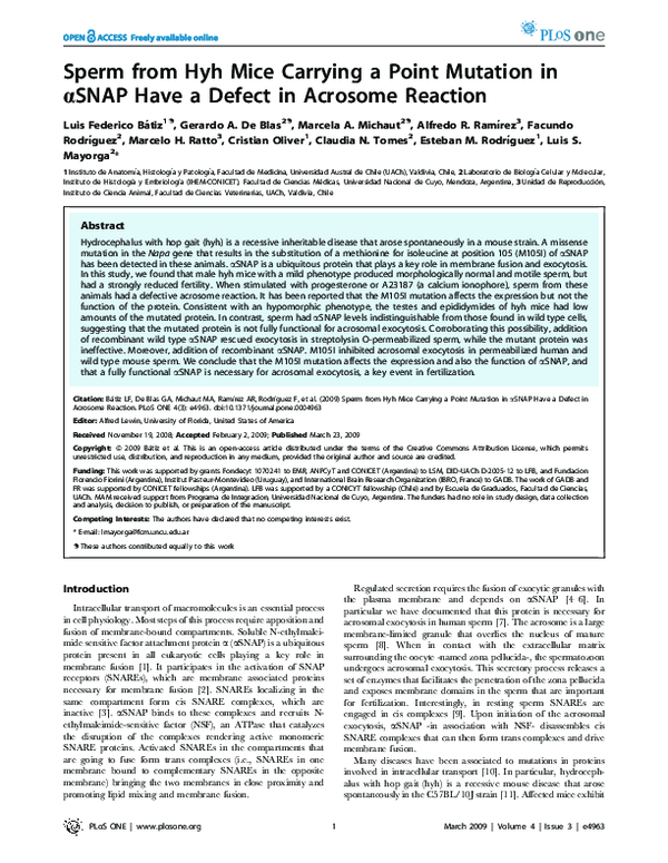 Pdf Sperm From Hyh Mice Carrying A Point Mutation In αsnap Have A