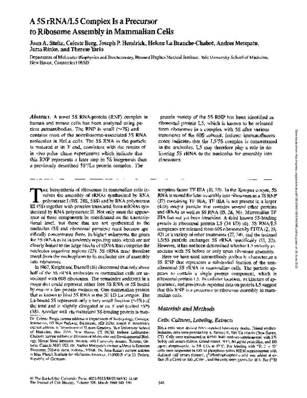 (PDF) A 5S rRNA/L5 complex is a precursor to ribosome assembly in ...