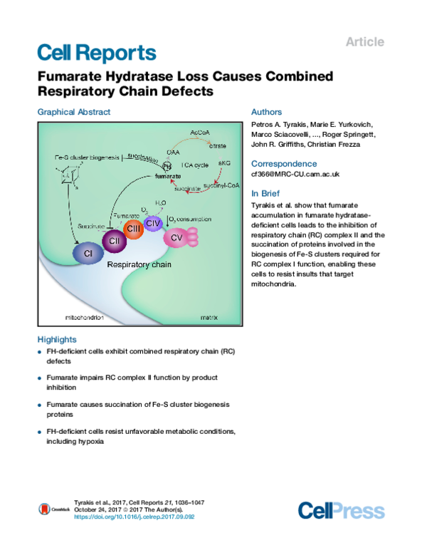 (PDF) Fumarate Hydratase Loss Causes Combined Respiratory Chain Defects