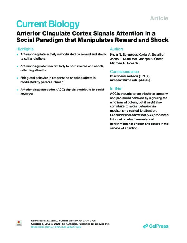 (PDF) Anterior Cingulate Cortex Signals Attention in a Social Paradigm ...