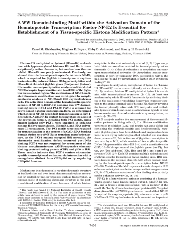 (PDF) A WW Domain-binding Motif within the Activation Domain of the ...