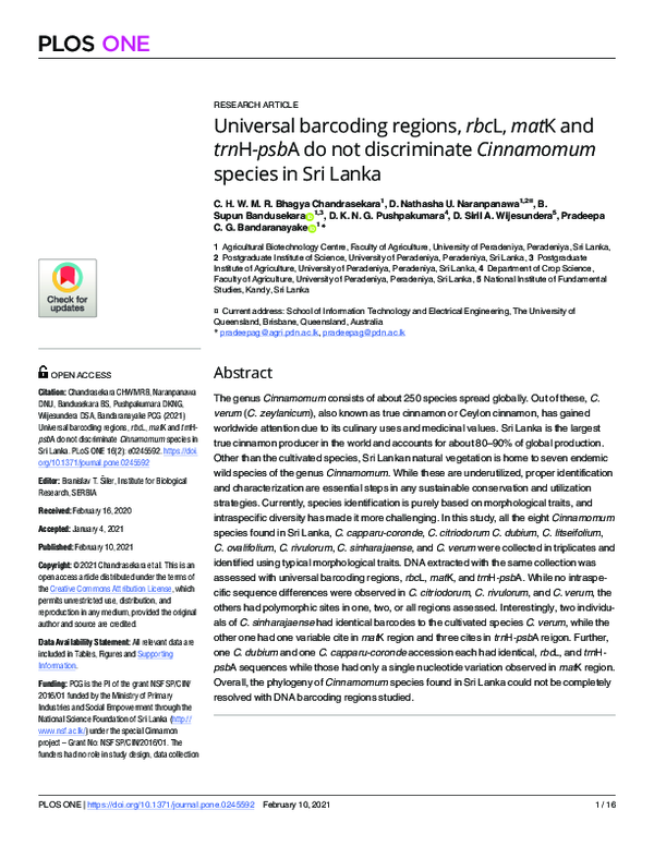 (PDF) Universal barcoding regions, rbcL, matK and trnH-psbA do not discriminate Cinnamomum ...