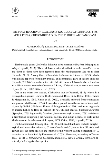 (PDF) The first record of Chelonibia testudinaria(Linnaeus, 1758 ...