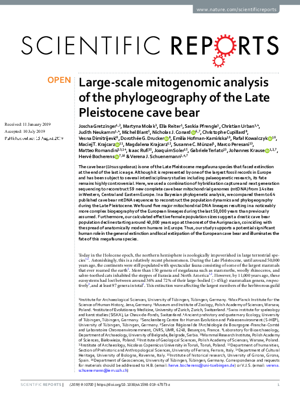 (PDF) Large-scale mitogenomic analysis of the phylogeography of the Late Pleistocene cave bear