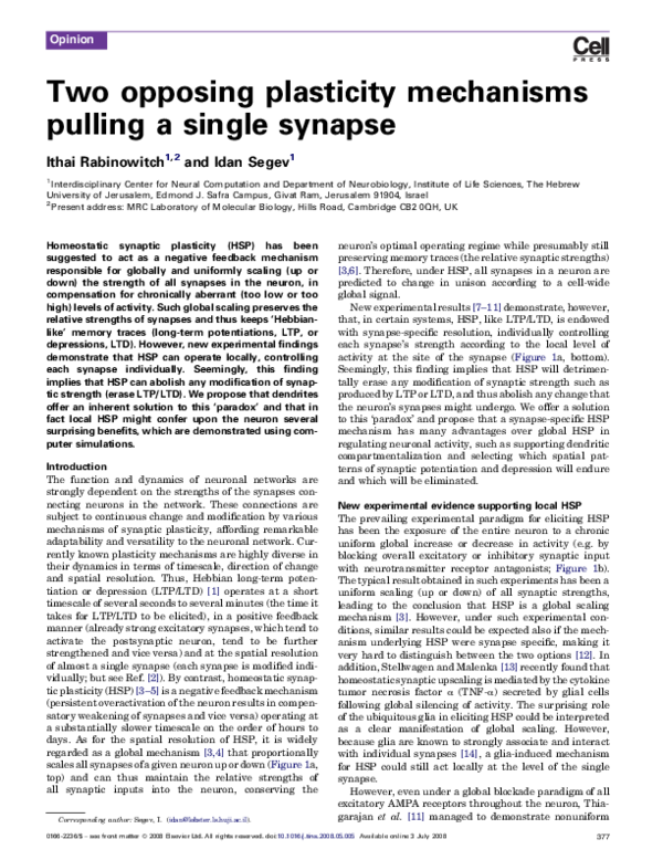 (PDF) Two opposing plasticity mechanisms pulling a single synapse