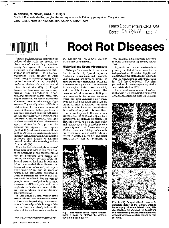 (PDF) Root Rot Diseases | Daniel Nandris - Academia.edu